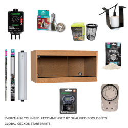 Lizard Starter Kits | GlobalGeckos.co.uk