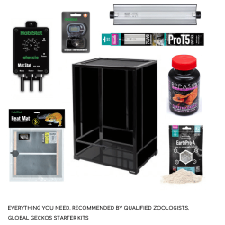 Lizard Starter Kits | GlobalGeckos.co.uk