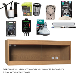 Lizard Starter Kits| GlobalGeckos.co.uk