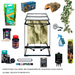 Lizard Starter Kits | GlobalGeckos.co.uk