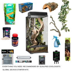 Lizard Starter Kits | GlobalGeckos.co.uk