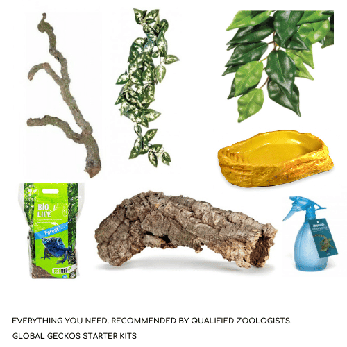 Tree Frog Décor Pack - S & L - GGDPTF | GlobalGeckos.co.uk