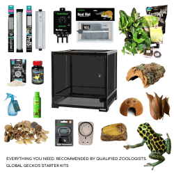 Amphibian Starter Kits | GlobalGeckos.co.uk